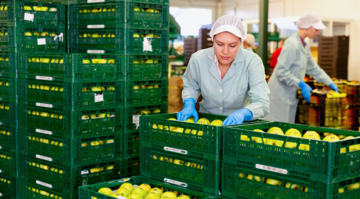 5 dicas para gestão de produtos perecíveis 5 dicas para gestão de produtos perecíveis